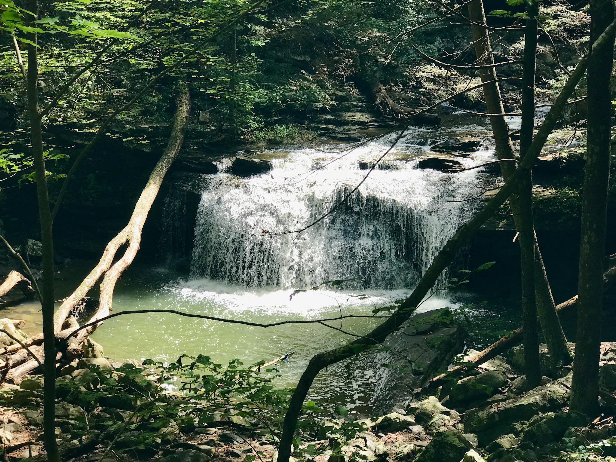 Working with Nature – Dr. Martin Redish